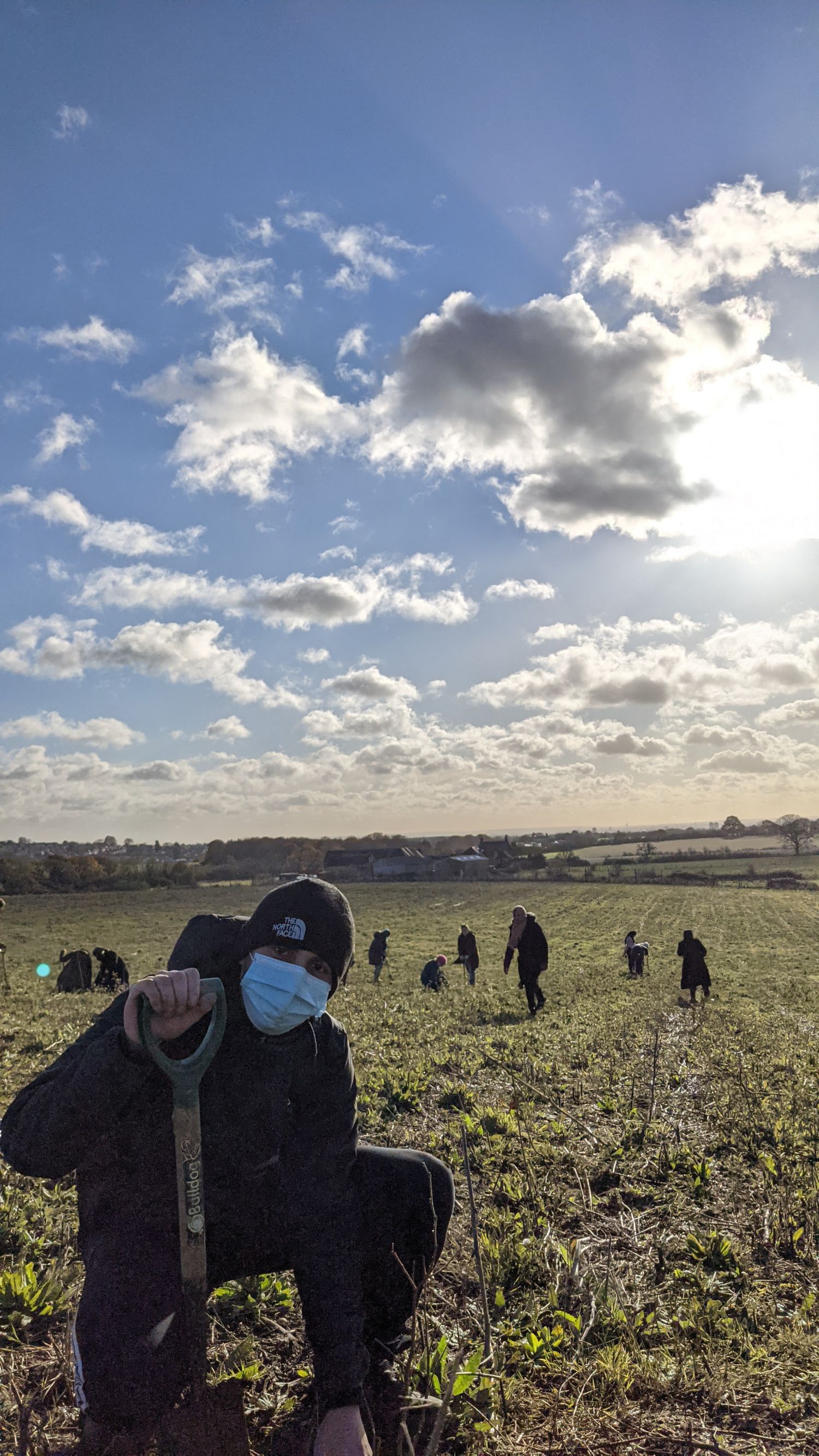 Tree planting event at Hainualt Forest Country Park - MKA UK