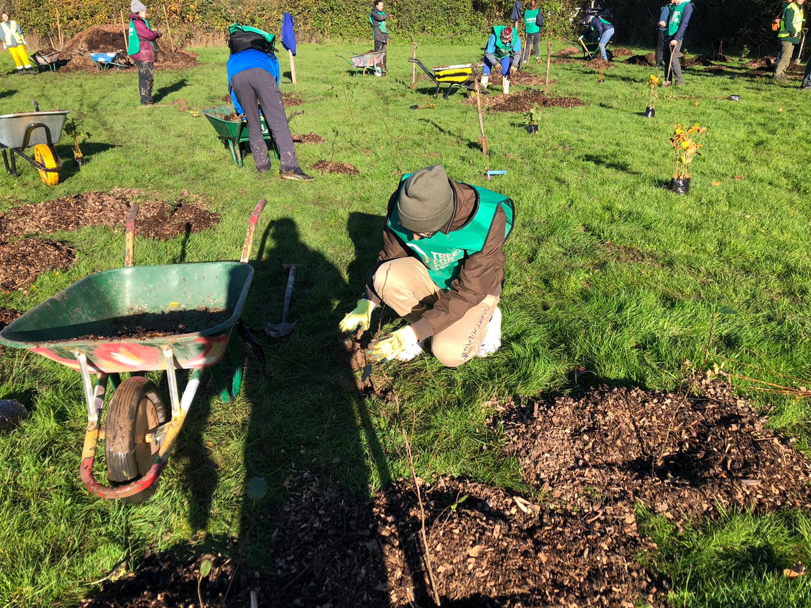 Southall Tree Planting Session - MKA UK